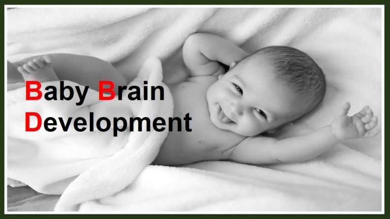 Baby Brain Development